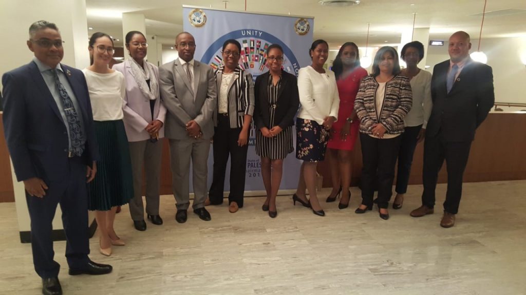 CAROSAI Attends Joint Meeting held by UNDESA and IDI – CAROSAI